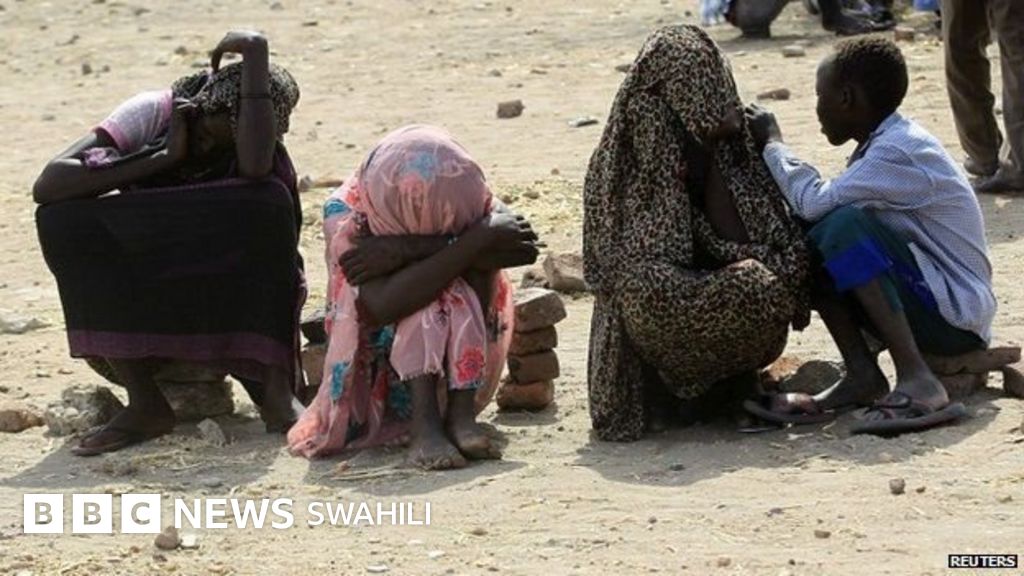 Mkuu wa zamani wa majeshi Sudan Kusini aunda vugu vugu jipya la waasi ...
