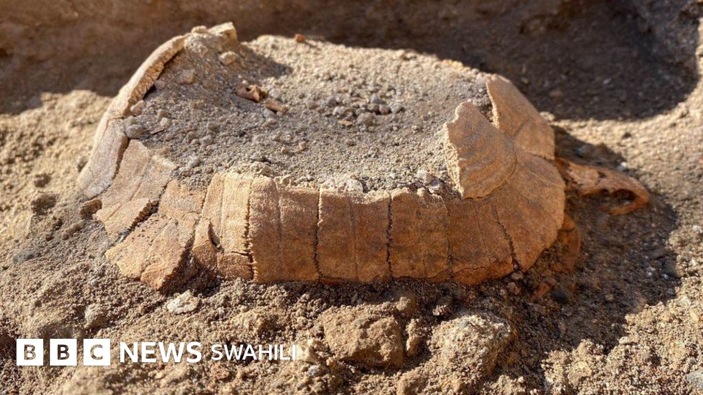 Kobe wa zamani mjamzito awashangaza wanaakiolojia - BBC News Swahili