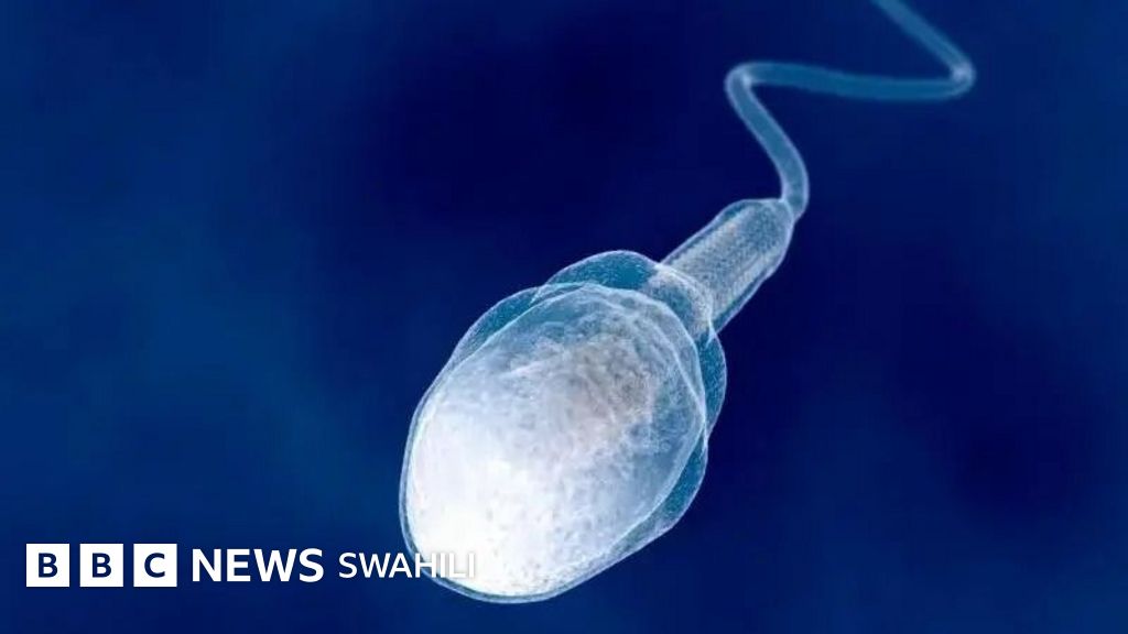 Je, kumwaga manii usingizini ni ishara ya ugumba? - BBC News Swahili