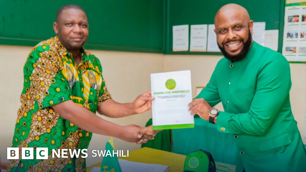 Uchaguzi Tanzania 2025: Kwa nini watia nia wengi wanakimbilia CCM ...