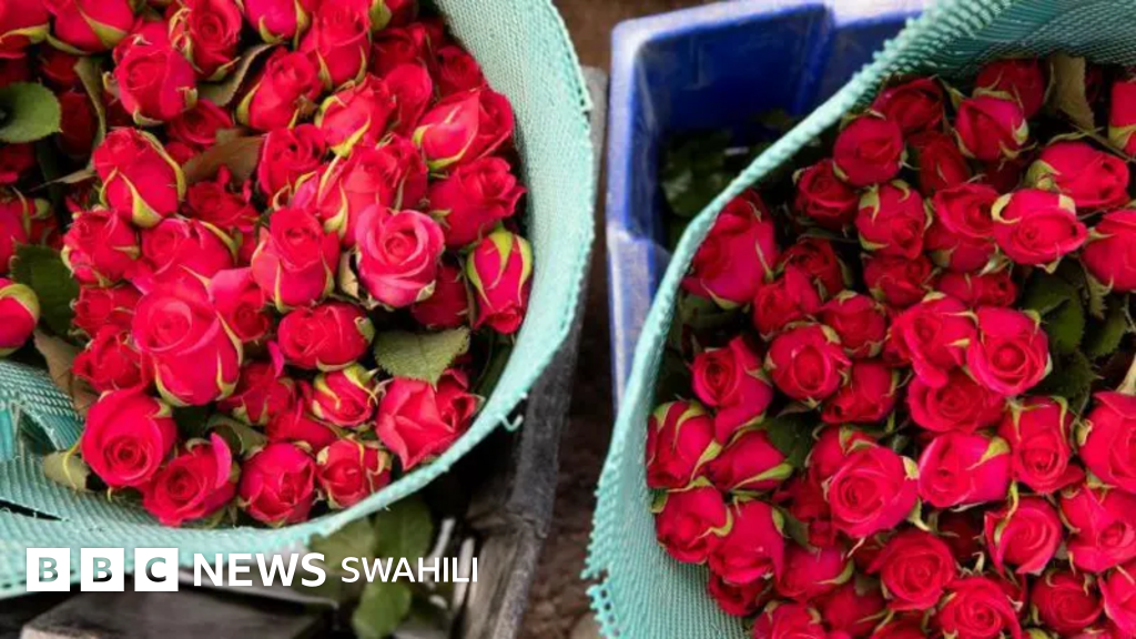 Changamoto za wafanyakazi katika shamba la maua Kenya - BBC News Swahili