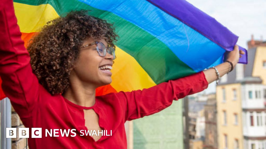 Chimbuko la Rangi ya upinde wa mvua kutumiwa katika harakati za wapenzi ...