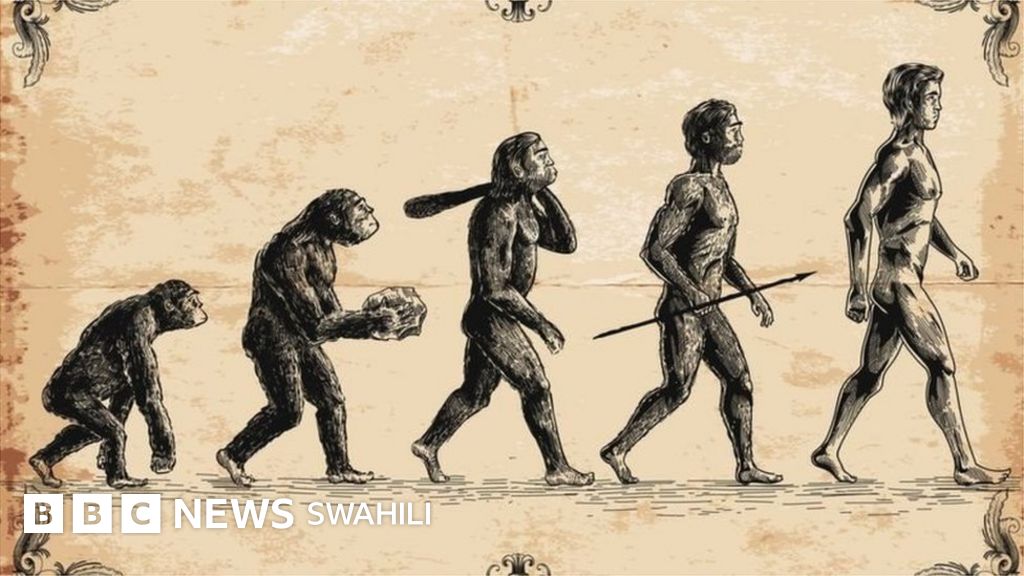 Fahamu jinsi binadamu walivyopoteza mikia yao - BBC News Swahili