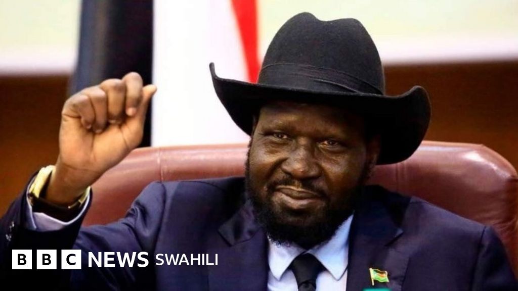 Je, kupunguzwa kwa magavana ni suluhisho kwa mzozo wa Sudan Kusini ...