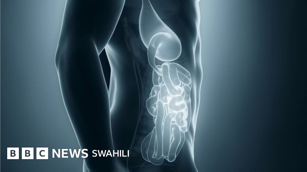 Kamera ya kupiga picha ndani ya mwili wa binadamu yagunduliwa - BBC ...