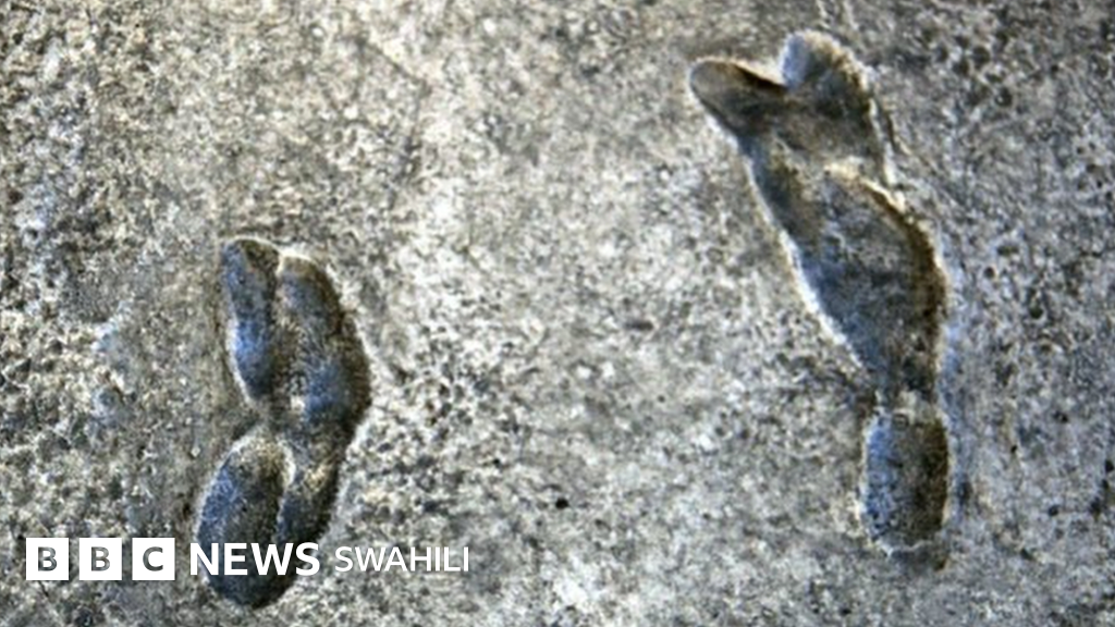 Nyayo zenye utata zinazopinga kile tunachofahamu kuhusu chimbuko la ...