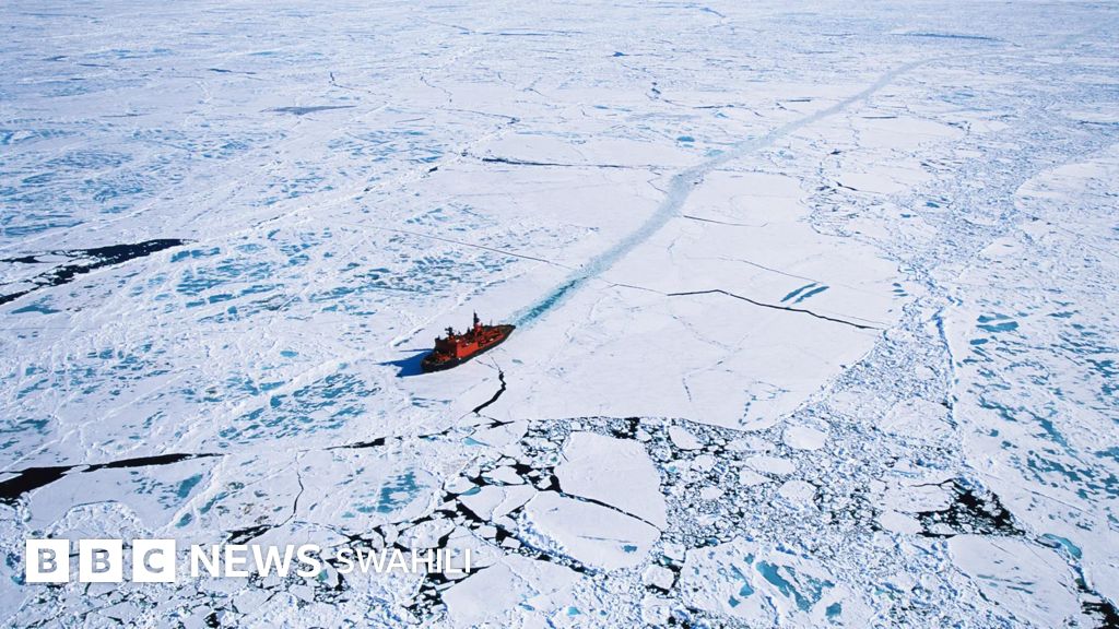 Unalijua eneo lisilo na mwenyewe duniani? kulifikia unahitaji siku 11 ...