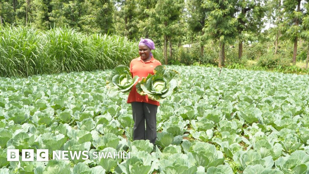 Mkutano wa chakula Afrika kuanza leo Tanzania, nani kunufaika? - BBC ...