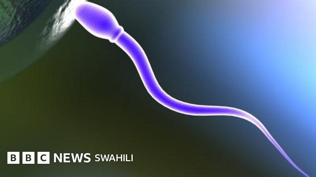 Tembe za wanaume za kuzuia utungaji mimba zilivyoonesha mafanikio - BBC News Swahili