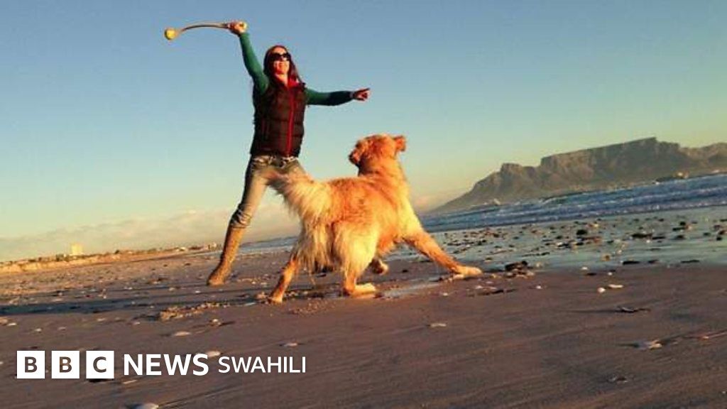 Kuzuia maambukizi ya Covid 19 ni hatia kutembesha mbwa Afrika Kusini ...