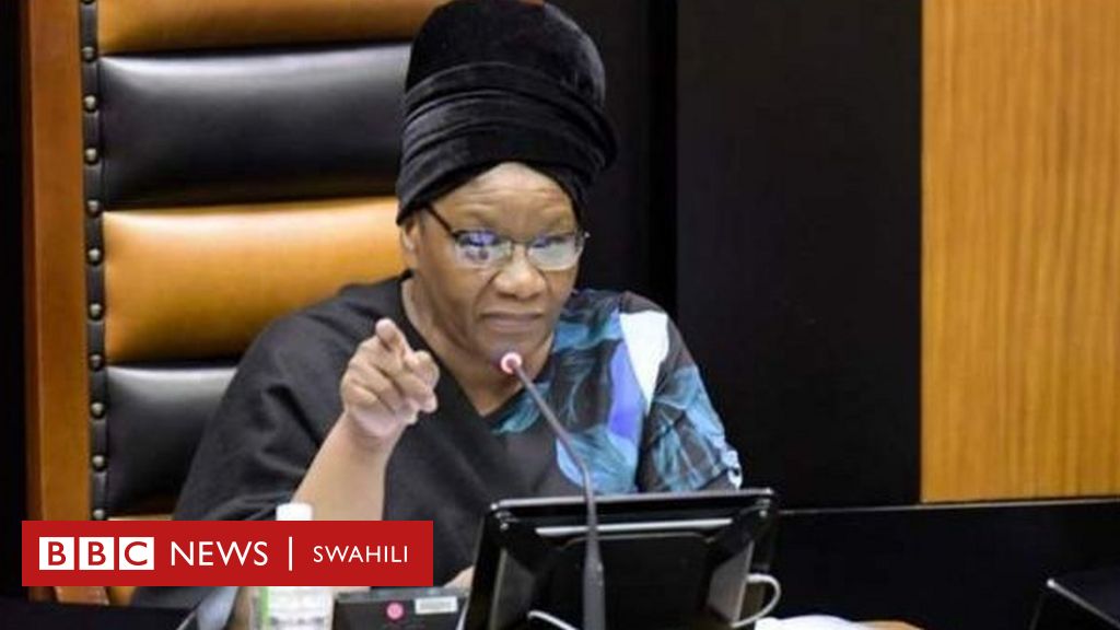 Virusi vya Corona: Kikao cha bunge cha mtandaoni Afrika kusini ... Virusi vya Corona: Kikao cha bunge cha mtandaoni Afrika kusini ...