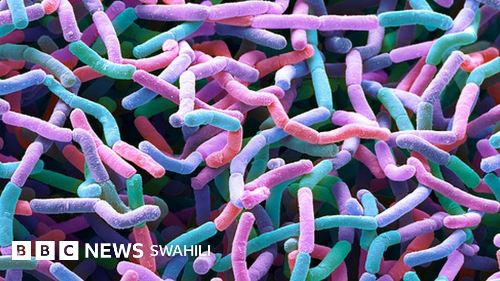 Aina mpya ya antibiotic yagunduliwa katika mchanga - BBC News Swahili
