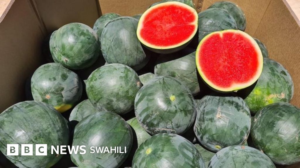 Faida za tikiti maji kwa mtu aliyefunga - BBC News Swahili