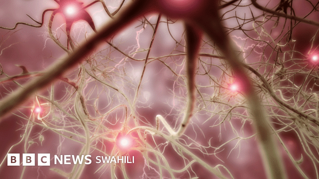 NeuraLink: Kampuni ilioanzishwa na Elon Musk ina mipango ya kudukua ...