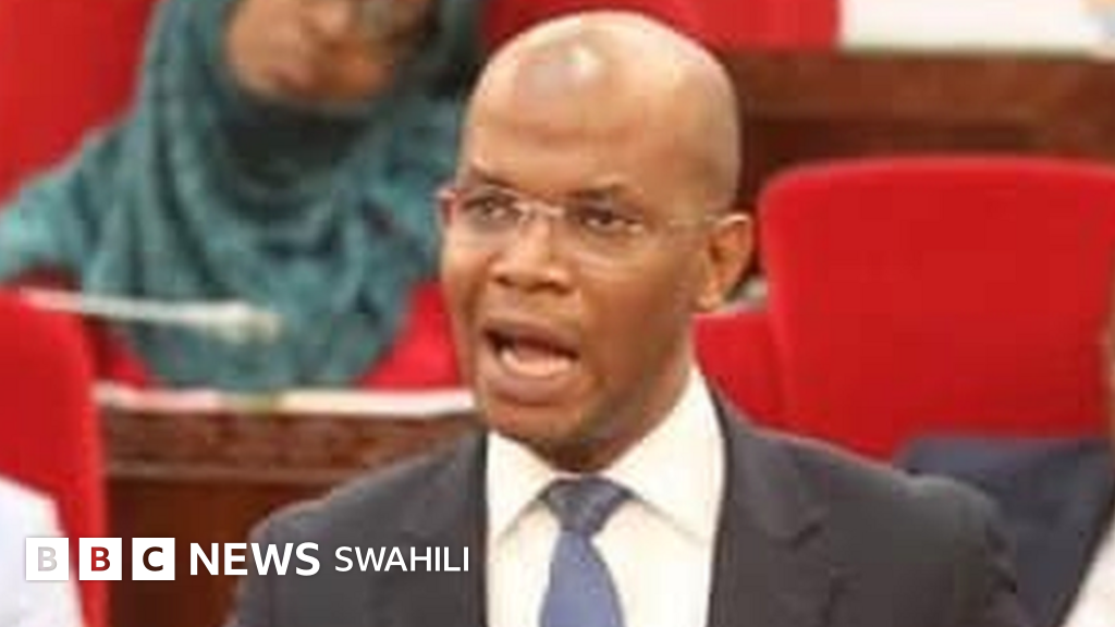 January Makamba: Waziri wa mazingira na Muungano Tanzania afutwa kazi ...