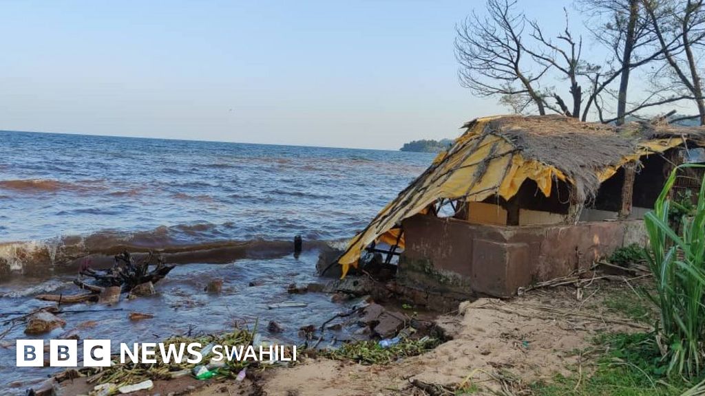 Ziwa Victoria laongezeka ukubwa na kupoteza fukwe zake - BBC News Swahili