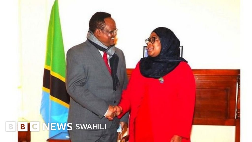 Je hizi ndizo siasa wanazozitaka Tanzania? - BBC News Swahili