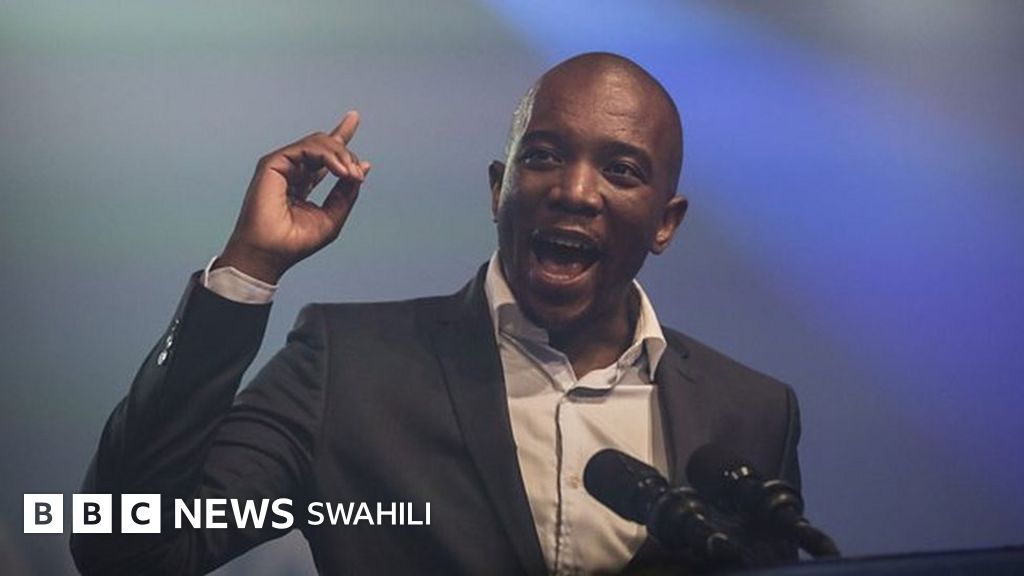 Kiongozi wa upinzani Afrika Kusini azuiwa kuingi Zambia - BBC News Swahili