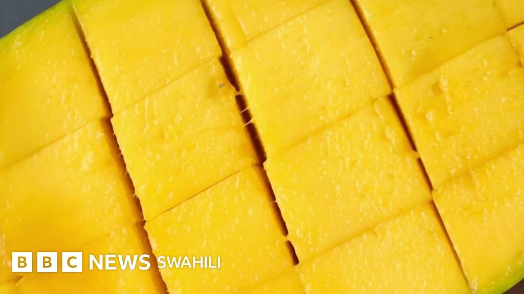 Je maembe inaweza kutengezwa nguo? - BBC News Swahili