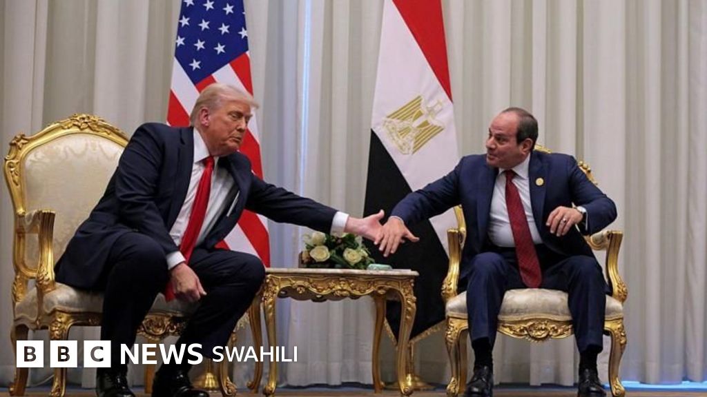 Mkufu wa Nile ni nini? Na kwanini Sisi anampa Trump - BBC News Swahili