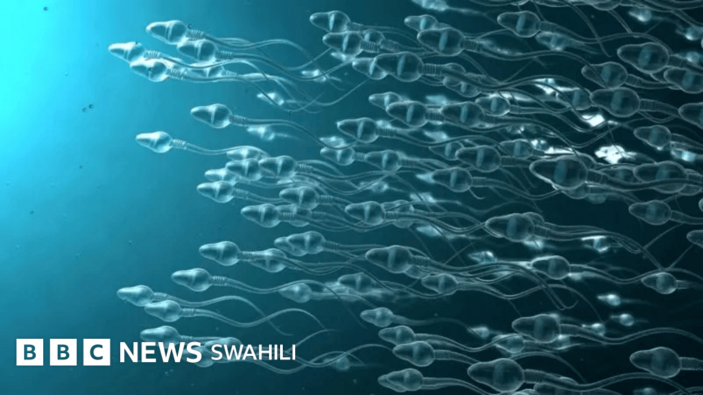 Je, kumwaga mbegu za kiume mara kwa mara husaidia kuzuia saratani ya ...