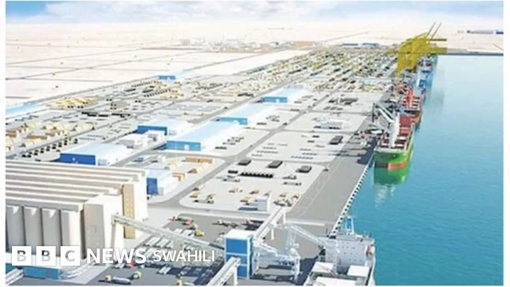 Kwa nini bandari Tanzania itaendelea kuwa ‘kaa la moto’? - BBC News Swahili