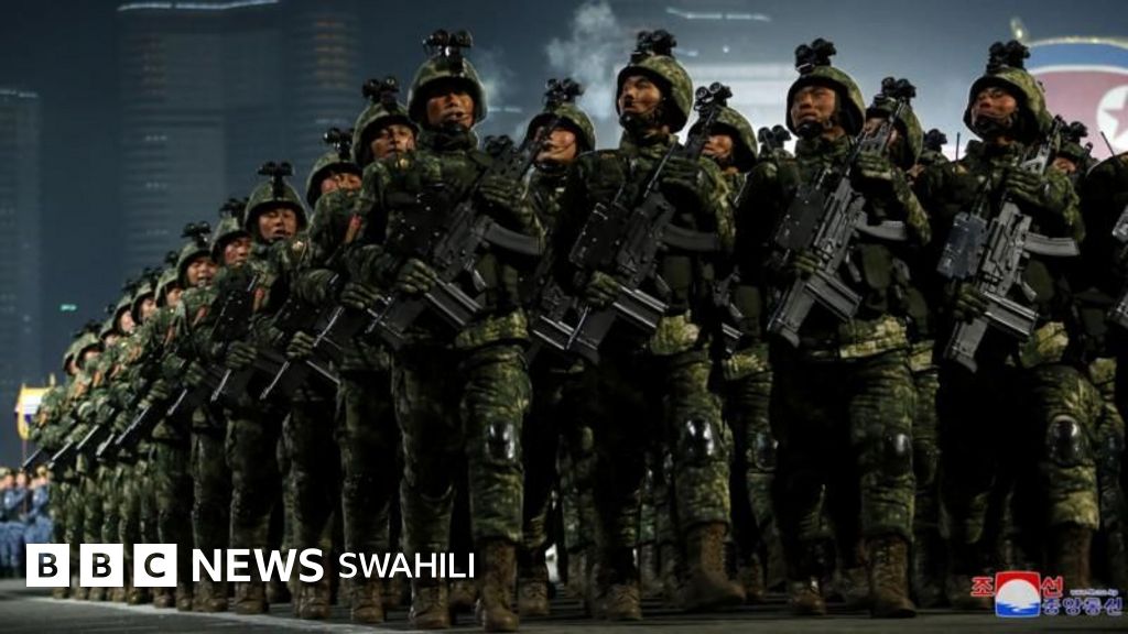 Wanajeshi wa Korea Kaskazini Nchini Urusi: Wanapigana lakini je ...