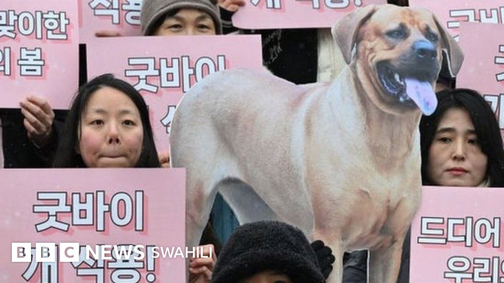 Uhusiano wenye utata wa Korea Kusini na nyama ya mbwa - BBC News Swahili