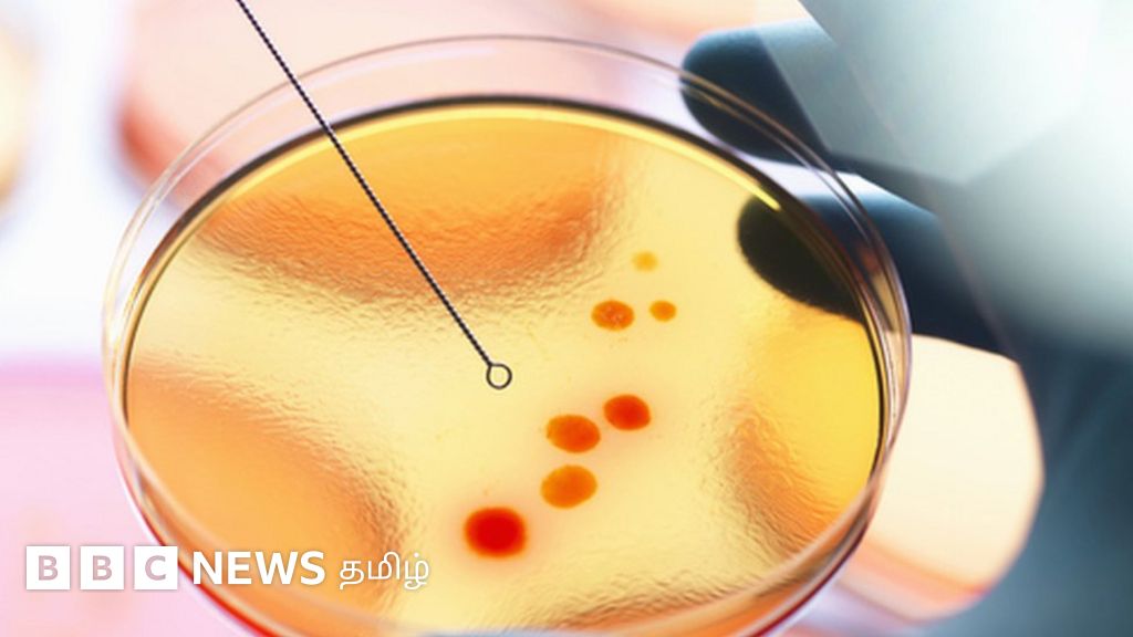 கொரோனா வைரஸ் திரிபுகள் இன்னும் எவ்வளவு மோசமடையும்? அதற்கு ஏதாவது வரம்பு ...