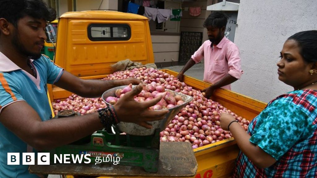 `எகிப்து வெங்காயம் இதயத்துக்கு நல்லது; ருசியும் அதிகம்` - செல்லூர் ராஜு ...