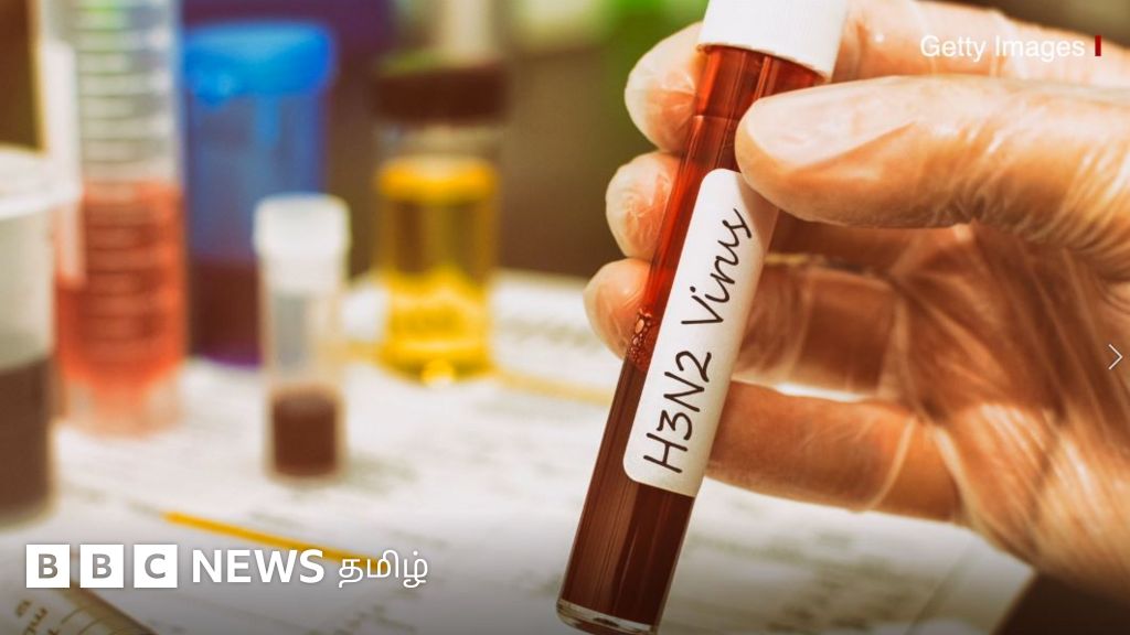 H3N2 வைரஸ் அபாயகரமானதா? - நீங்கள் செய்ய வேண்டியது இதுதான் (காணொளி) - BBC News தமிழ்