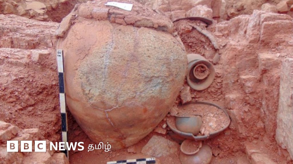 கீழடியில் கிடைத்த நுண்கற்கால கருவிகளும் எரிந்த நெல் மணிகளும் - BBC News ...