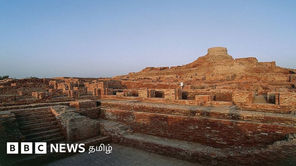 சிந்து சமவெளி நாகரிக மக்கள் மாட்டுக்கறி சாப்பிட்டார்களா? பானை எச்சங்கள் ...