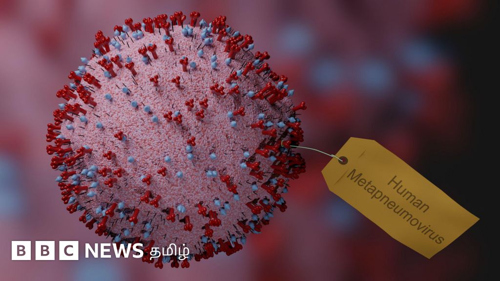 HMPV: தமிழ்நாட்டில் 2 குழந்தைகள் உள்பட இந்தியாவில் 5 பேருக்கு HMPV தொற்று - எவ்வாறு பரவுகிறது ...