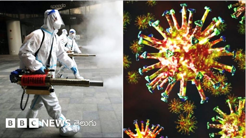 NeoCov కరోనాలో అత్యంత ప్రమాదకరం ఇదేనా? చైనా సైంటిస్టులు చెప్పినదాంట్లో ...