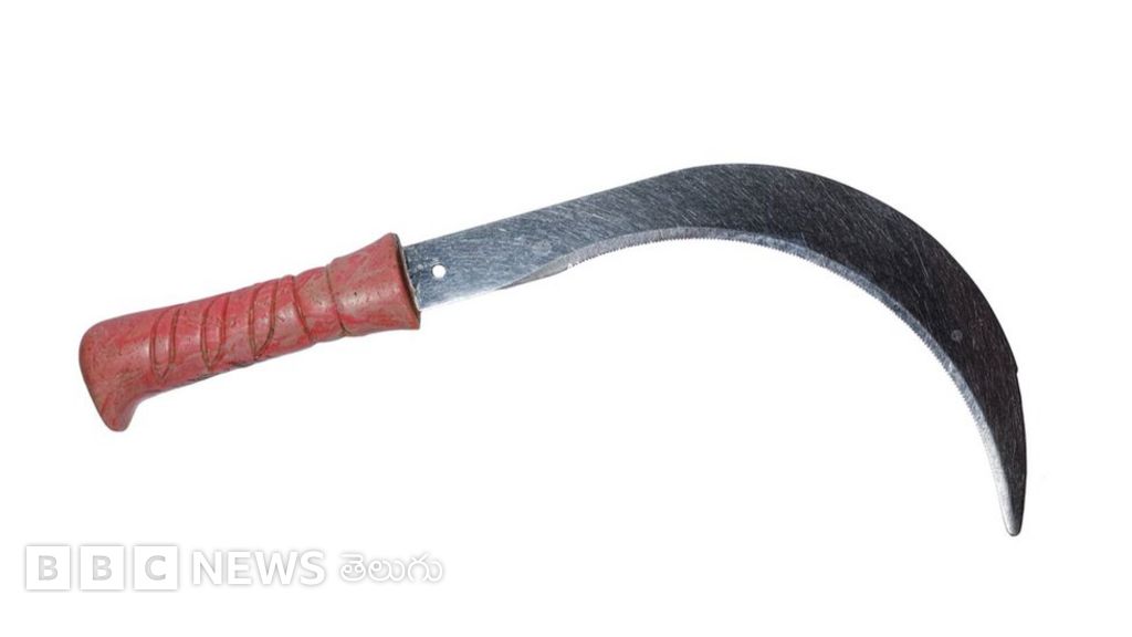 సంక్రాంతి: ‘మద్యం మత్తులో గొర్రె తలకు బదులు తమ్ముడి తల నరికాడు ...