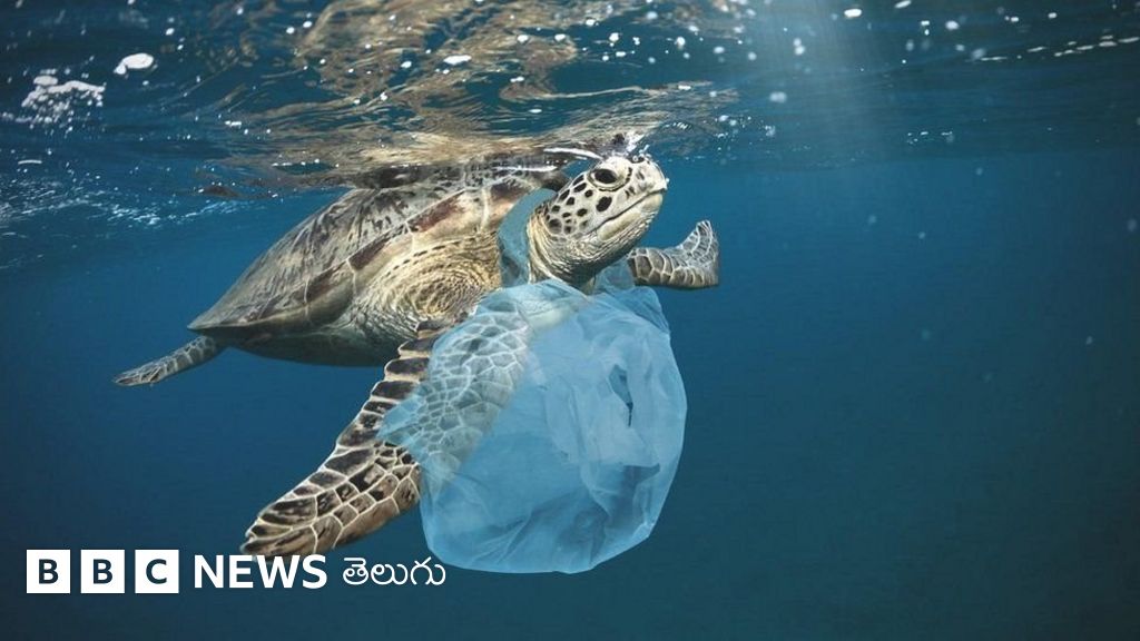 Plastic pollution: భూమి ‘ప్లాస్టిక్ సంక్షోభం’లో చిక్కుకోకుండా కాపాడటం ...