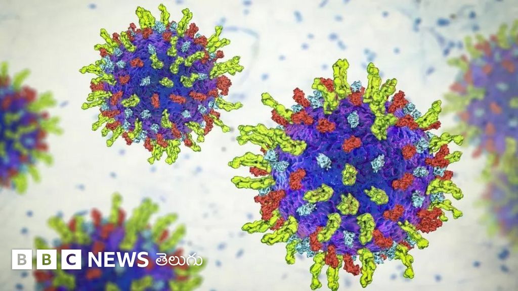 Cancer Killing Virus: ట్రయల్ దశలోనే రోగుల్లో క్యాన్సర్‌ను మాయం చేసిన ...