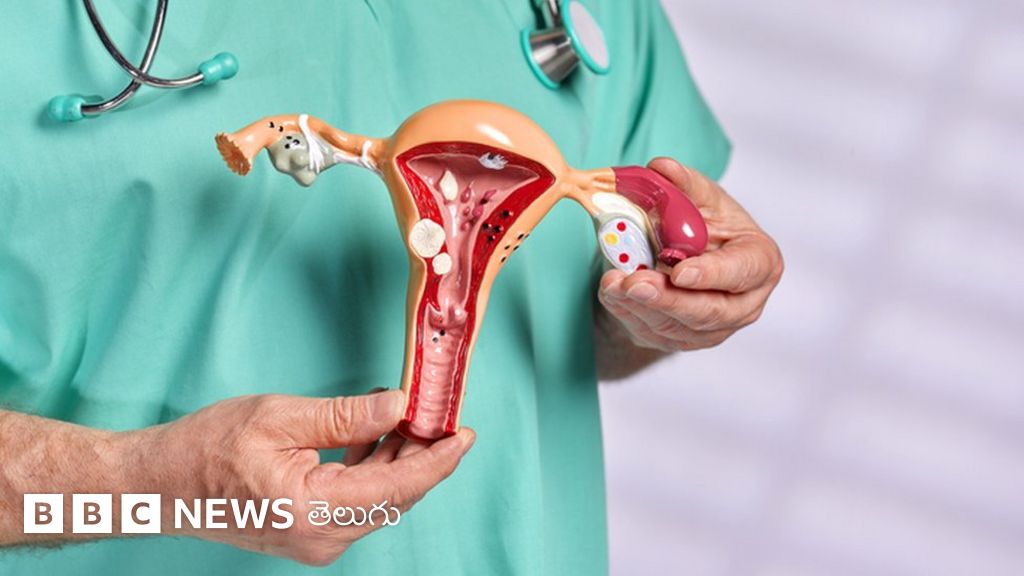 Rokitansky Syndrome: యోని లోపలి భాగాలు, గర్భాశయం లేకుండా పిల్లలు పుట్టే ...