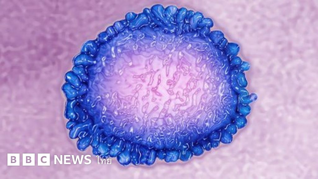 การระบาดใหญ่ (pandemic) คืออะไร - BBC News ไทย