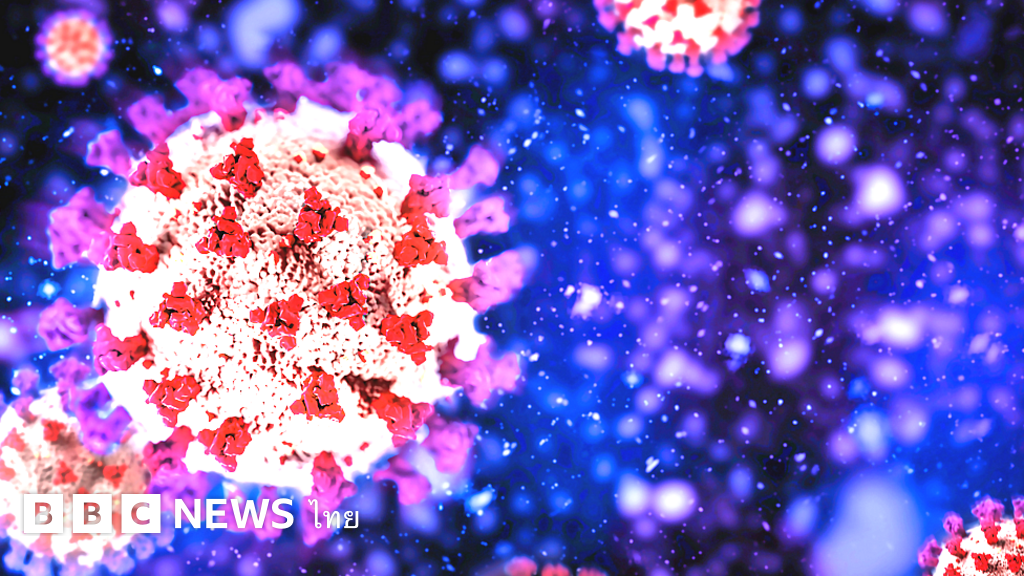 โควิด : โอมิครอนสายพันธุ์ย่อย BA.4 และ BA.5 น่ากังวลแค่ไหน หลังผู้ติดเชื้อพุ่งทั่วโลก - BBC News ไทย