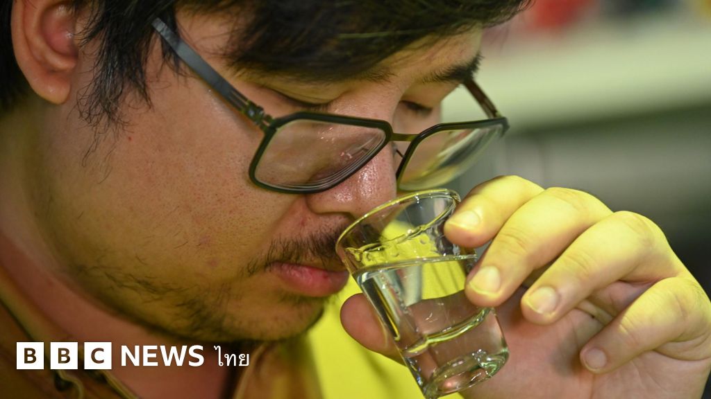 สุราก้าวหน้า: เปิดโรงกลั่นสุรา “สังเวียน” ที่ยังต้องผลิตแบบ “ดึกดำบรรพ์” เหมือนเหล้าป่า - BBC ...