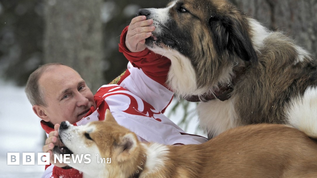 รัสเซีย ยูเครน : กลุ่มเฟซบุ๊กลึกลับที่คอยสนับสนุนประธานาธิบดีวลาดิเมีย ...