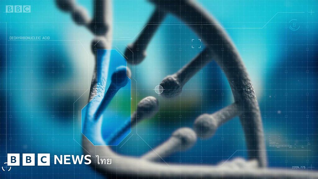 แปลงไฟล์ดิจิทัลเก็บไว้ในดีเอ็นเอ - BBC News ไทย