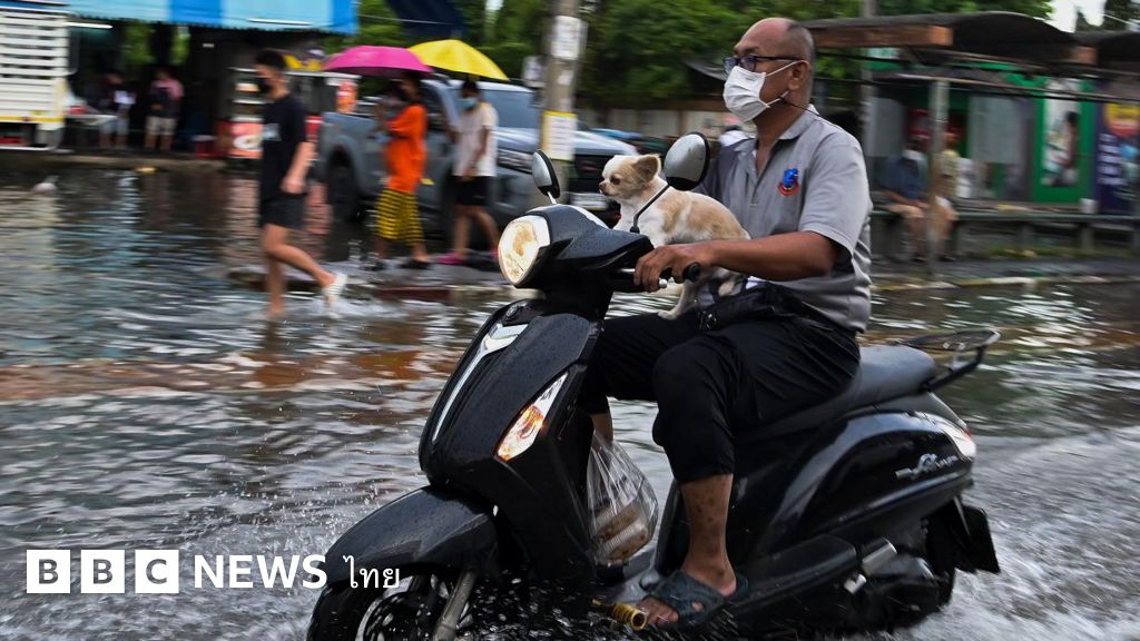 เทียบข้อมูลน้ำท่วม 2554 กับ 2565 หลังรัฐยืนยันไม่ซ้ำรอย - BBC News ไทย