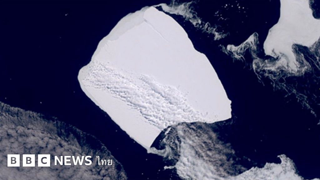 A23a: ภูเขาน้ำแข็งใหญ่ที่สุดในโลกเคลื่อนที่อีกครั้งในรอบ 30 ปี - BBC ...