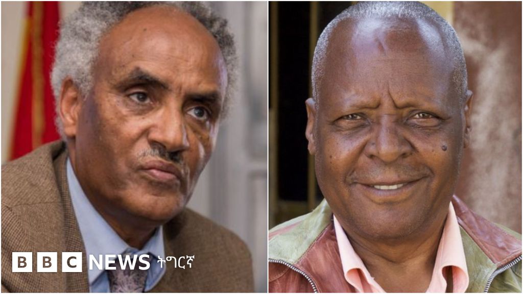 ፖለቲካ ኢትዮጵያ፡ "ቦርድ መረጻ ካብ ጸዋታ ወጸኢ ክገብረና ድልየት ኣለዎ" ፕሮፌሰር መረራ ጉዲና - BBC ...