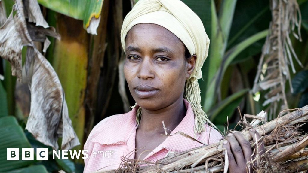 ጉዕዞ ትምህርቲ ሓደ ኢትዮጵያዊ ስድራ ዘርኢ ስእሊ ኣብ ውድድር ‘አርዝ ፎቶ’ ተዓዊቱ - BBC News ትግርኛ