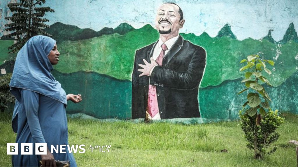 ኢትዮጵያ ናብ መረጻ ተምርሕ ኣላ፡ ኵሉ ሰብ ግና ክመርጽ ኣይኰነን - BBC News ትግርኛ