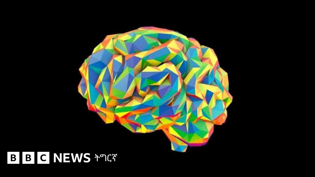 ኣእምሮ፡ ምናልባት ዘይትፈልጥዎም 10 ዘደንጽዉ ሓቅታት - BBC News ትግርኛ
